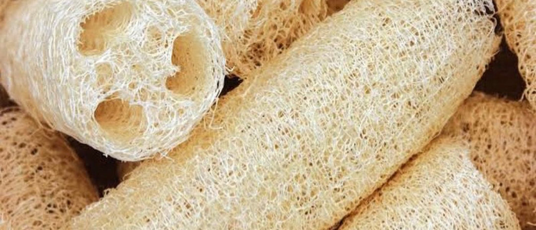 To Loofah or Not To Loofah – Tempted Temple